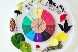 Nature Color Wheel Activity - Mimosas & Motherhood