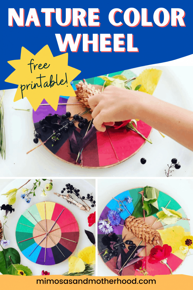 Nature Color Wheel Activity - Mimosas & Motherhood