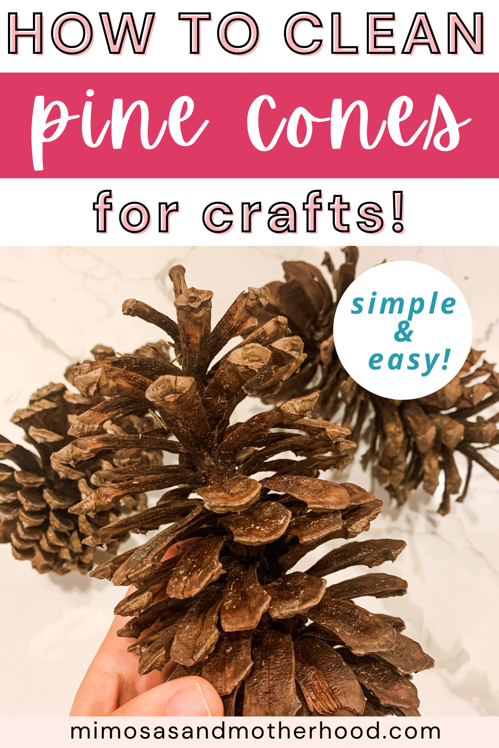 How to Clean Pine Cones for Crafting - Mimosas & Motherhood
