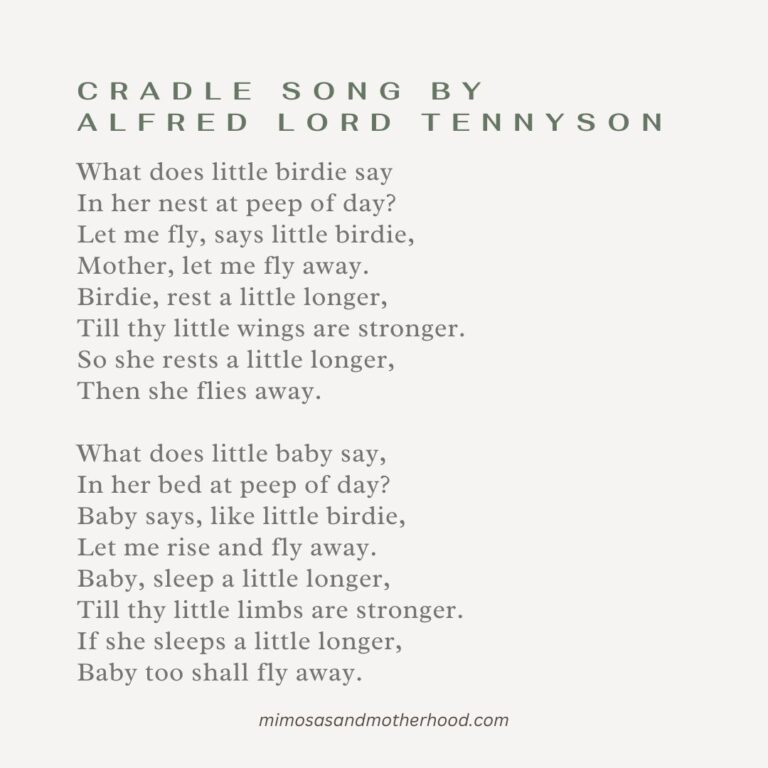 18 of the Best Poems for Babies - Mimosas & Motherhood