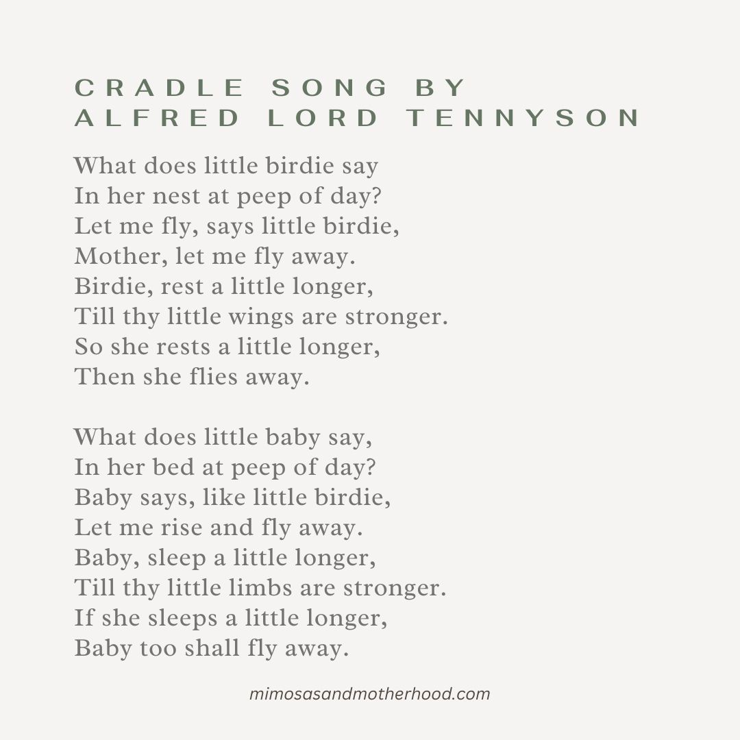 18 of the Best Poems for Babies - Mimosas & Motherhood