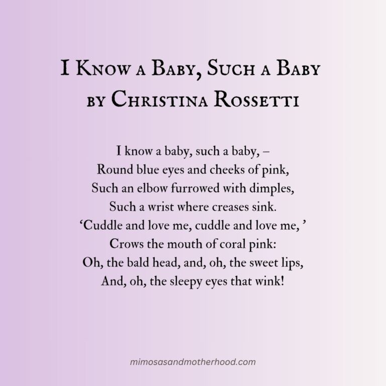 18 of the Best Poems for Babies - Mimosas & Motherhood