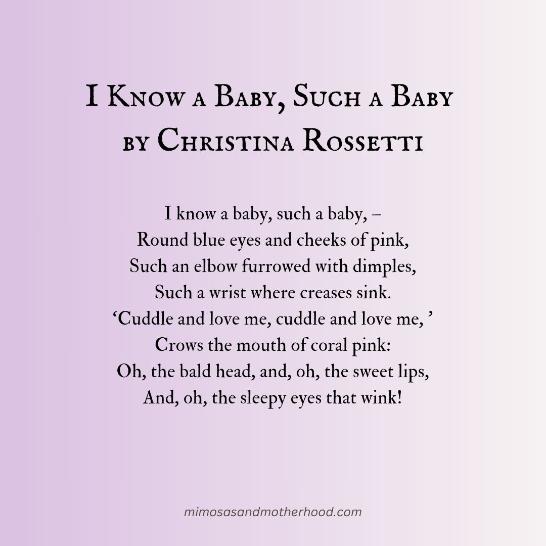 18 of the Best Poems for Babies - Mimosas & Motherhood