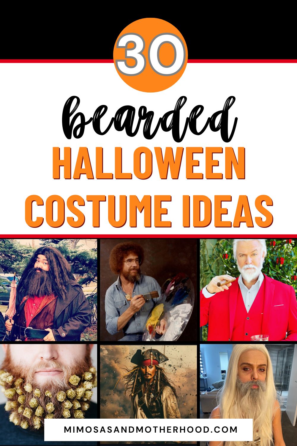 Bearded Characters for Halloween Costumes - Mimosas & Motherhood