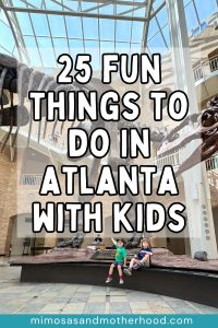25 Best Activities to do in Atlanta with Kids: Fun Family Attractions ...