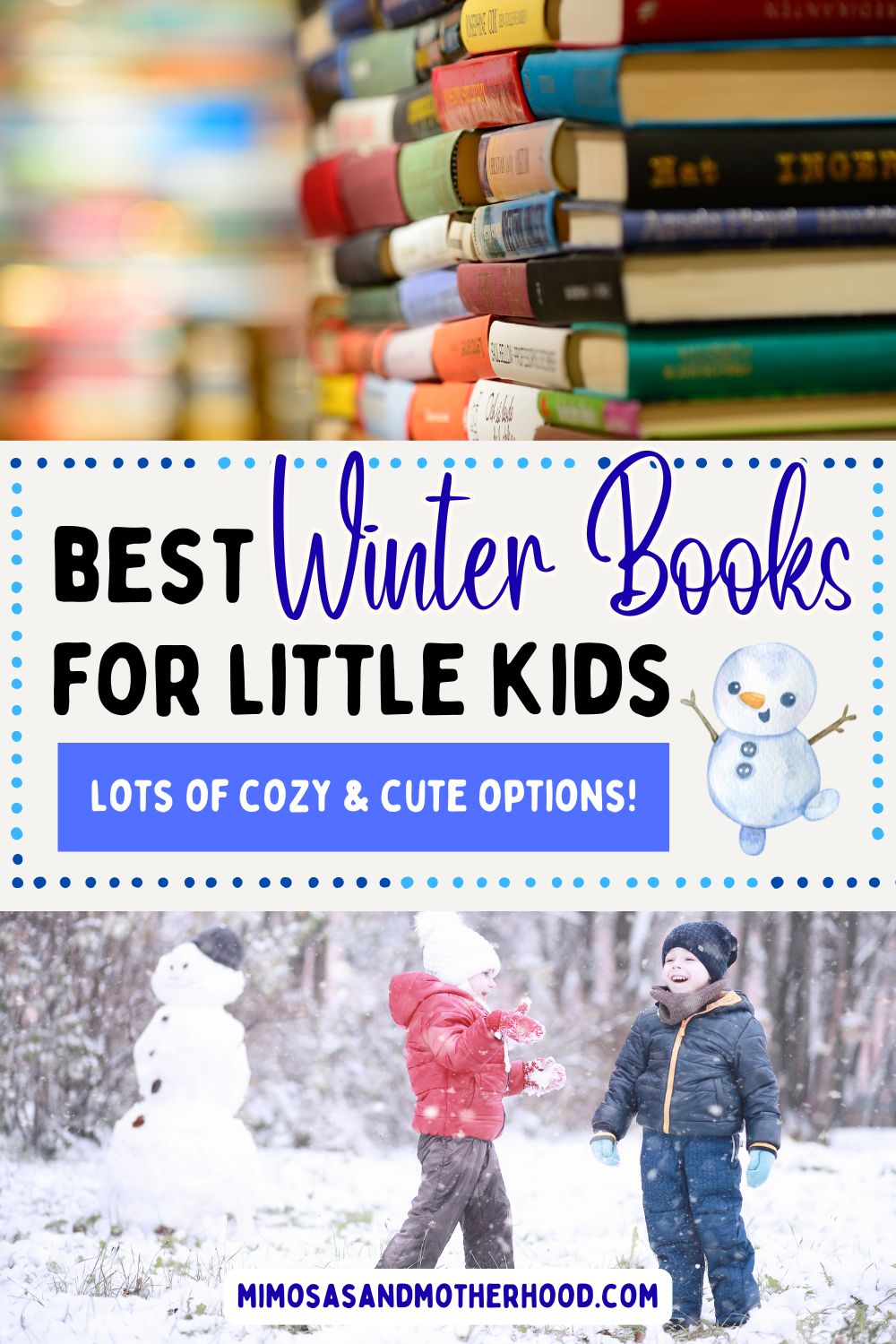 24 Best Winter Books for Toddlers, Preschoolers and Little Kids ...
