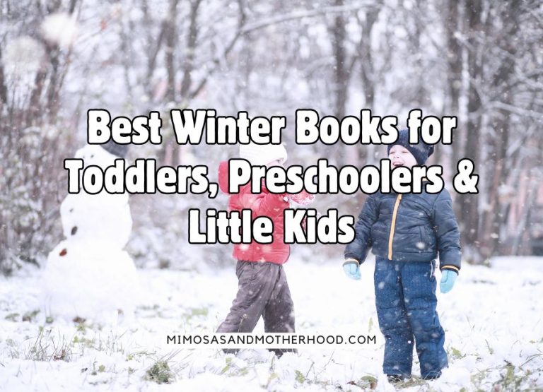 24 Best Winter Books for Toddlers, Preschoolers and Little Kids ...
