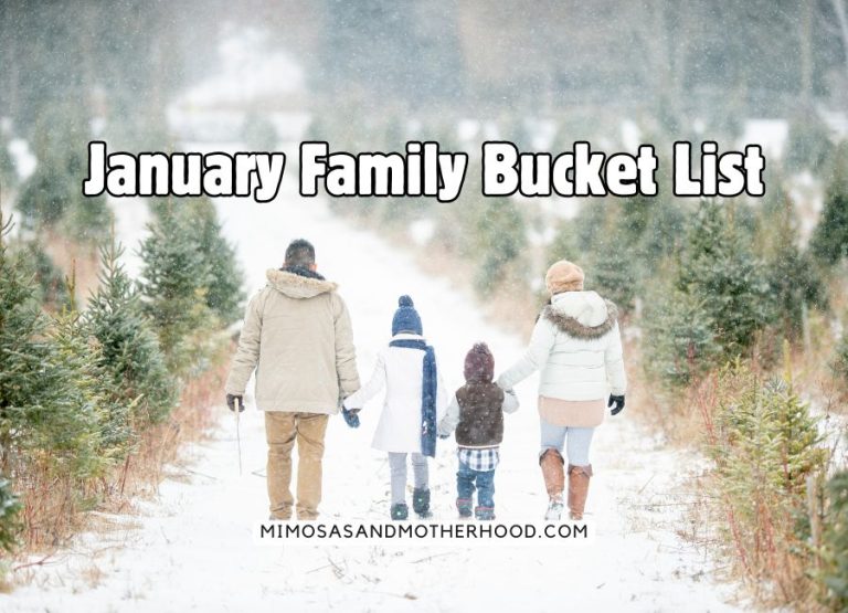 January Family Bucket List: 40 Fun & Easy Ideas to Kick Off the New ...